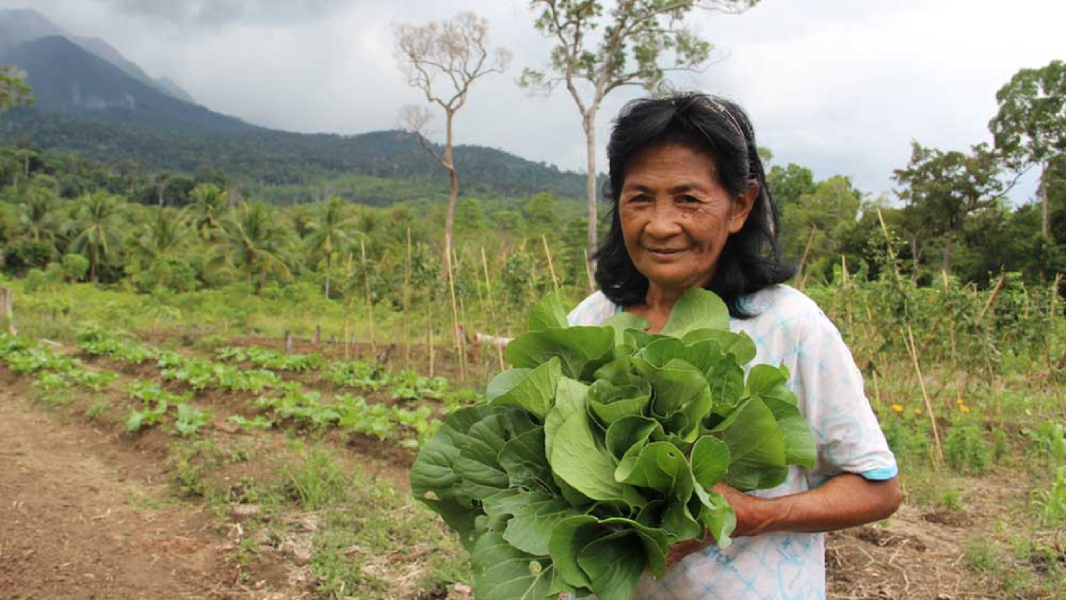 Integrated Farming Bio-systems (IFBS) - Pilipinas Shell Foundation, Inc.