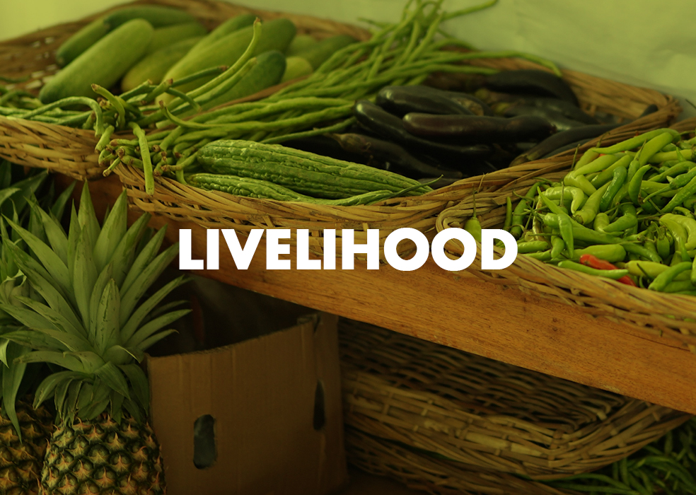 Home - Pilipinas Shell Foundation, Inc.